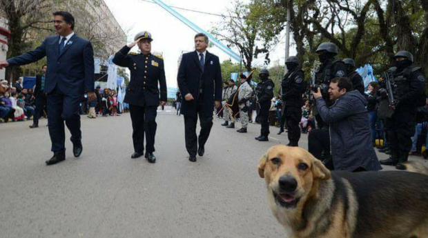 A 8 años de su muerte, Resistencia recuerda a Mariscal, el "perro del ...